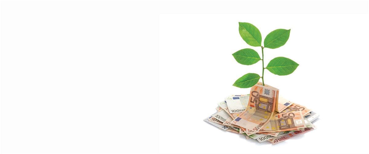 Fractional CFO Services - DKS Capital Advisory