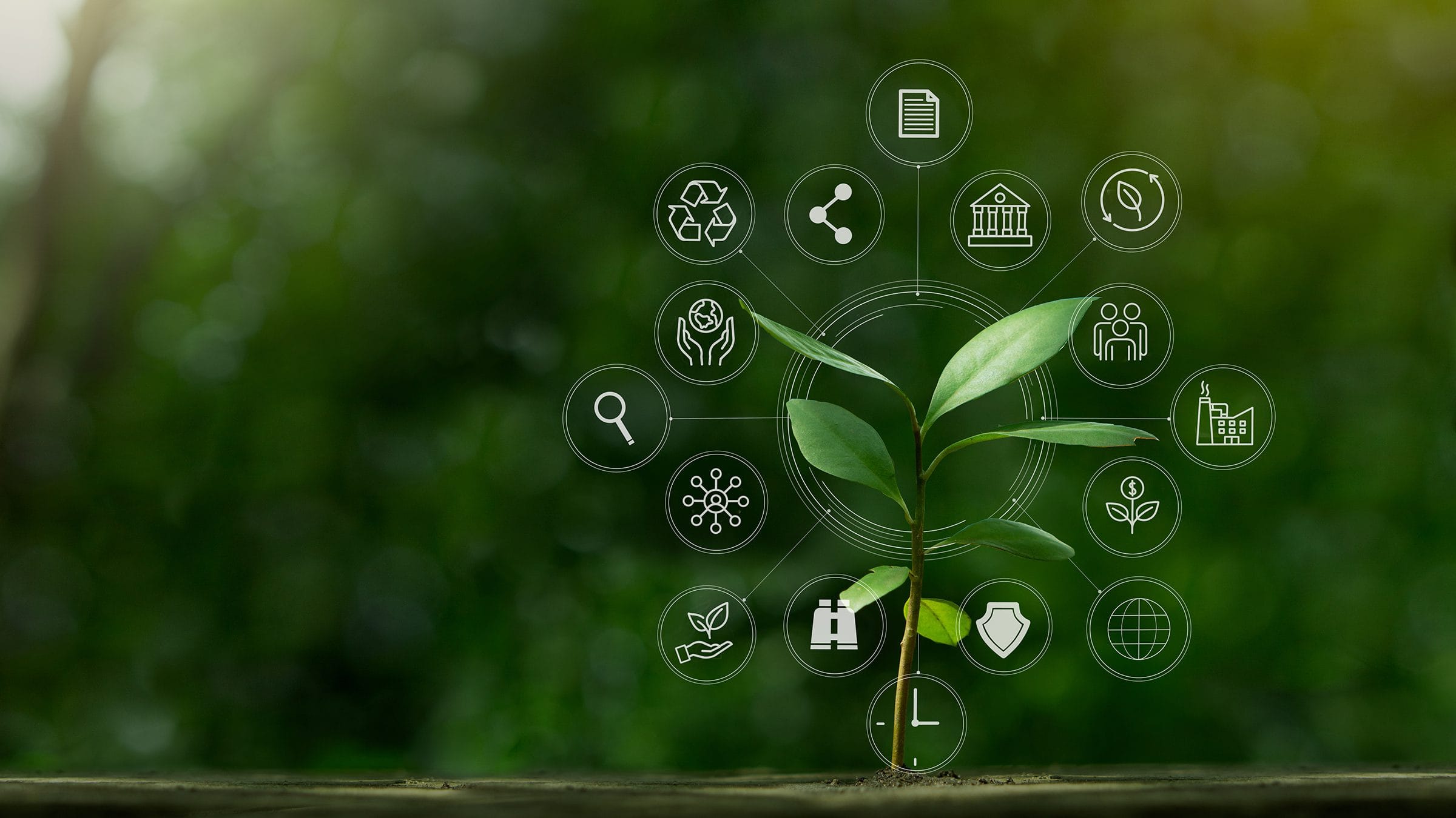 Sustainable Manufacturing Leadership in Bangladesh: An ESG Roadmap for ...